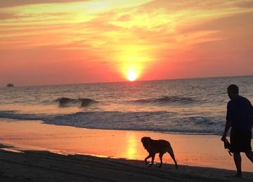 The Best Guide to Myrtle Beach for Canadian Snowbirds